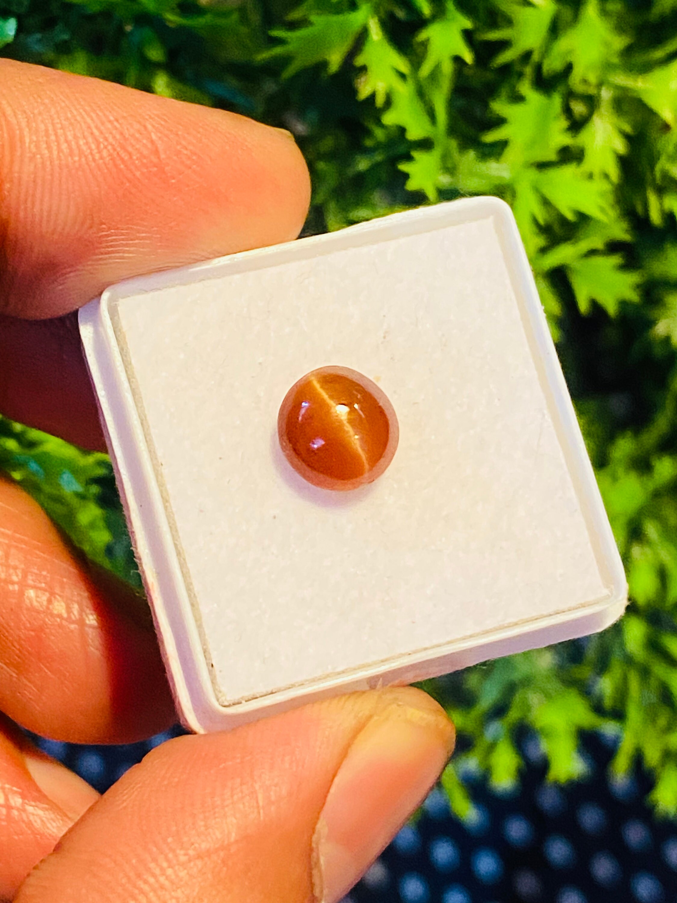 Outstanding Natural Amber Color Cats Eye 7mm Round Cabochon From ...