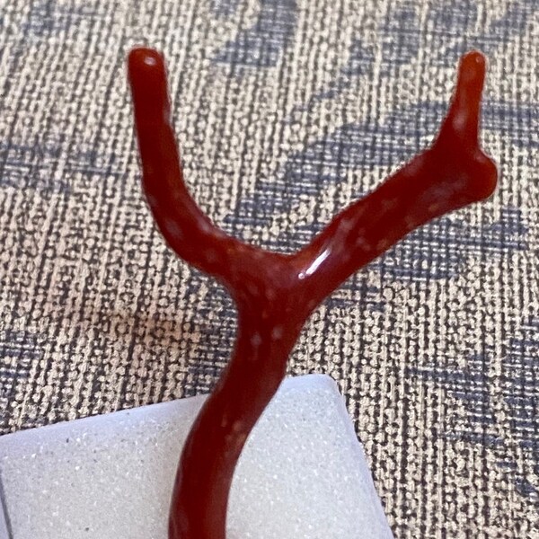 Red Sea Coral - Etsy