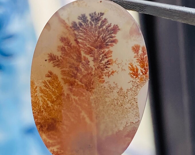 A Big Tree of Flower in Natural Dendrite Agate Cabochon Oval Big Size ...