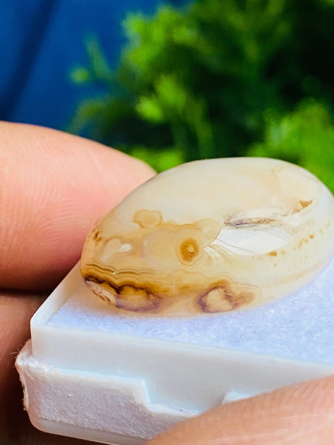 Organic Figured FISH Aqeeq Agate From Yemeni Rare Largest Quality 100% ...