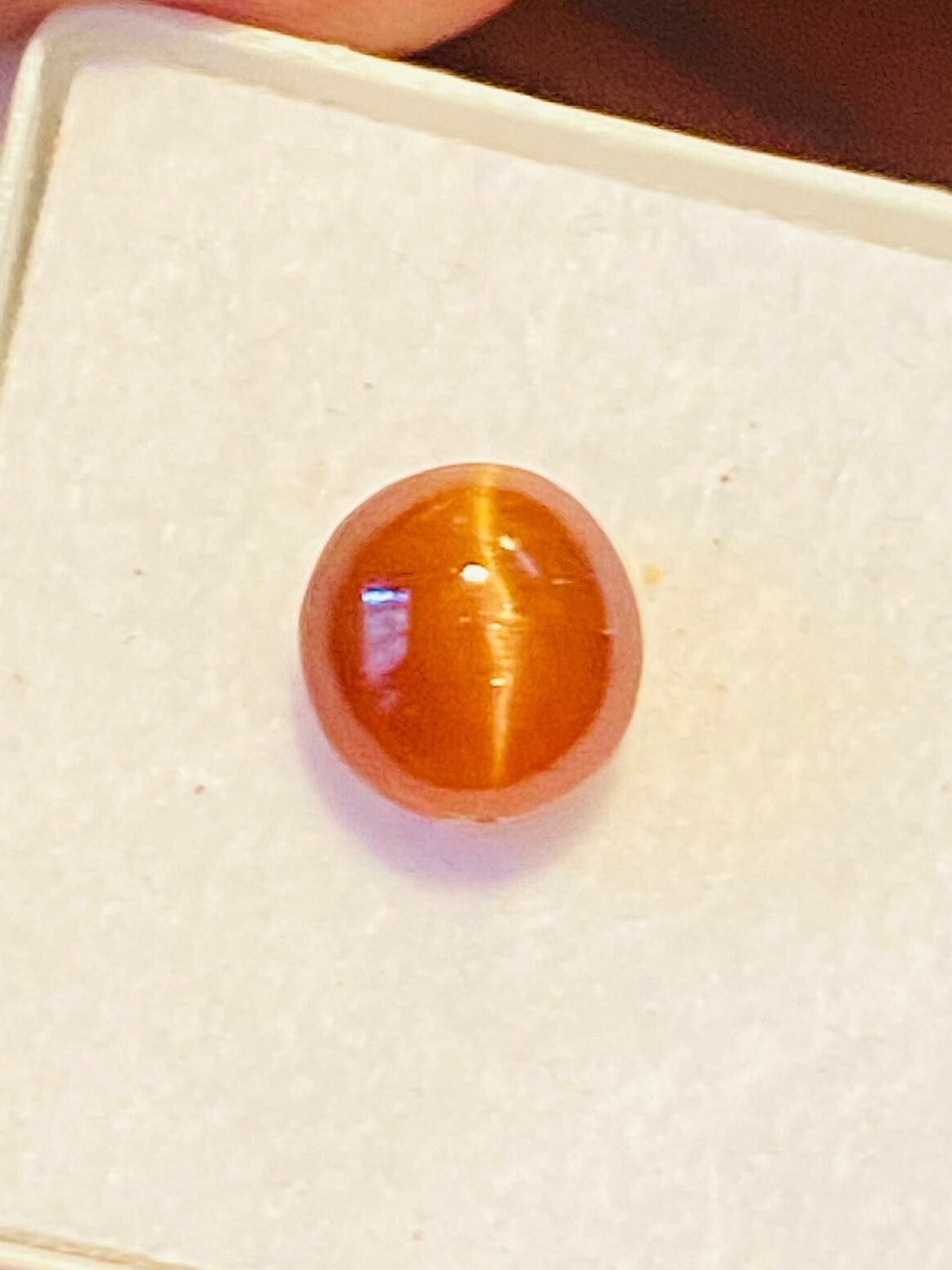 Outstanding Natural Amber Color Cats Eye 7mm Round Cabochon From ...