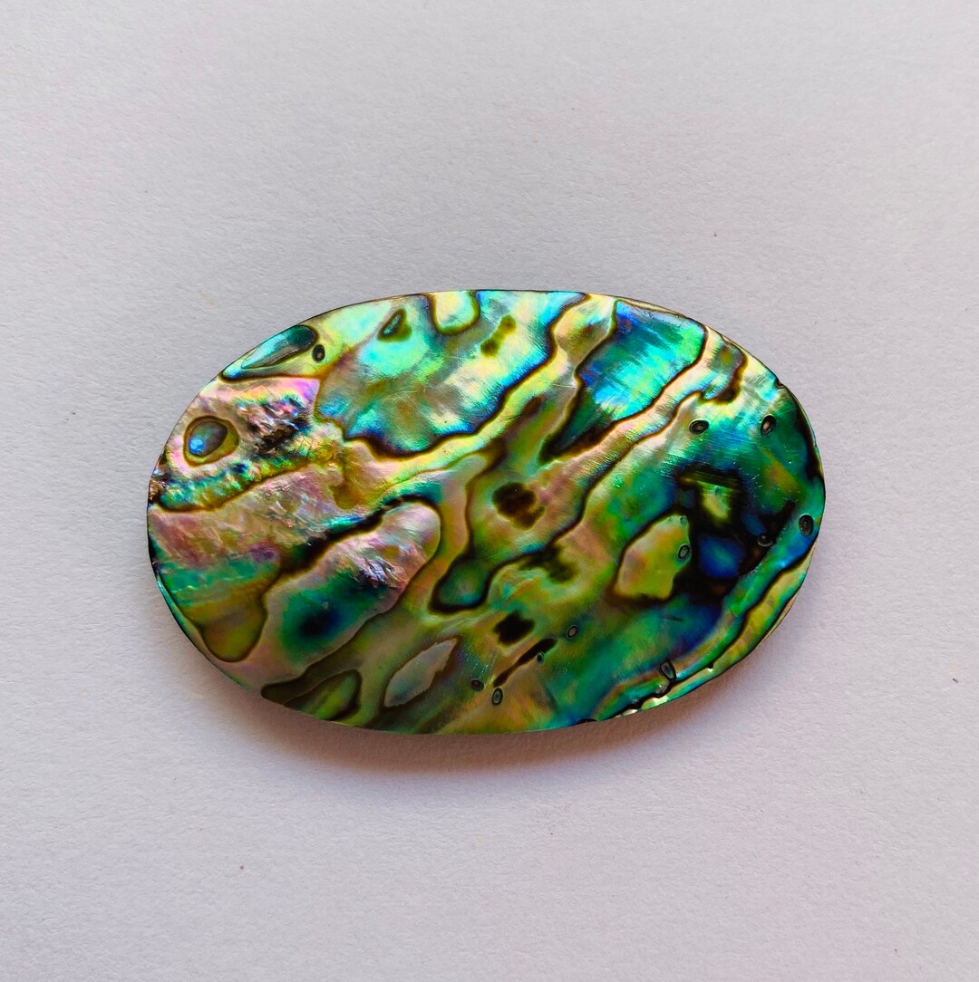 Natural Abalone Shell ' Shell Cabochon' Pauaseashell Cabs' Green ...