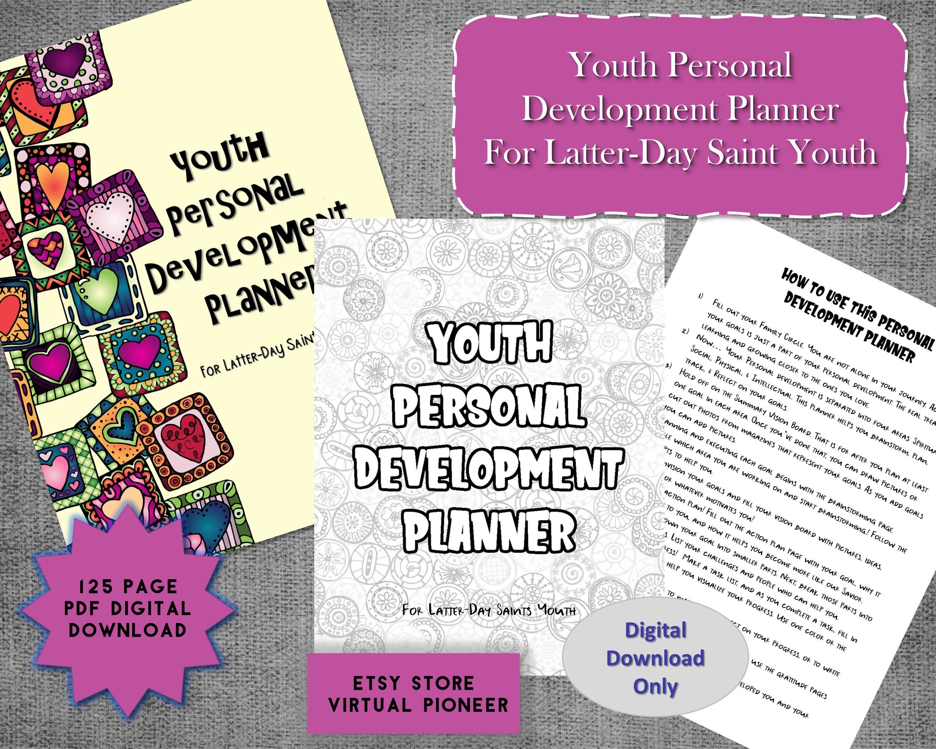 Youth Personal Development Planner for Latter-day Saints Young Women ...