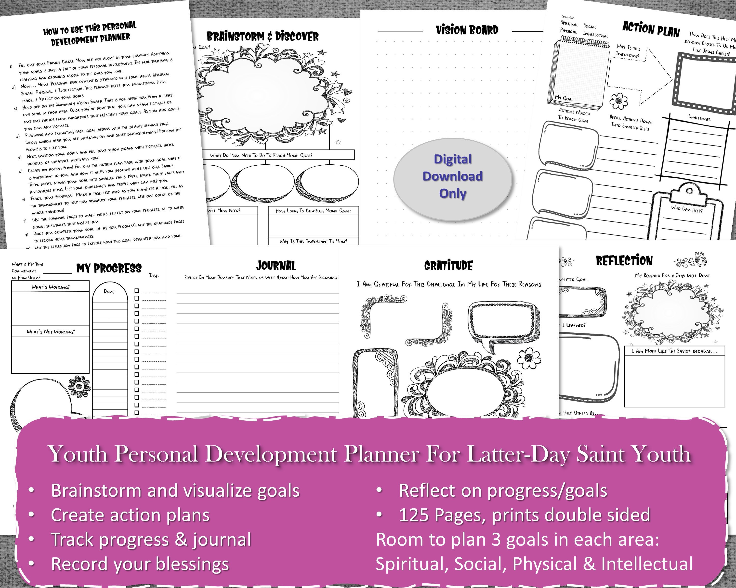 Youth Personal Development Planner for Latter-day Saints Young Women ...