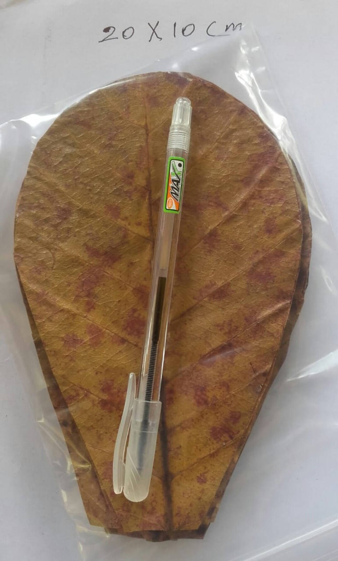 1000X Indian Almond Leaves - Ketapang Leaf - Shrimp Fish Care - Betta ...