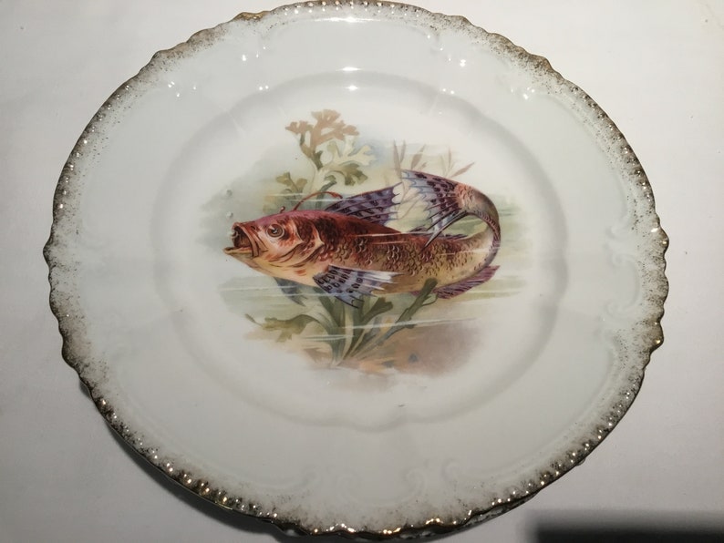 Antique Porcelain Hand Painted Fish Service Plates Set of 12 - Etsy