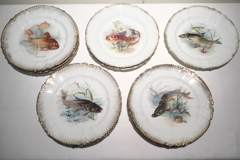 Antique Porcelain Hand Painted Fish Service Plates Set of 12 - Etsy