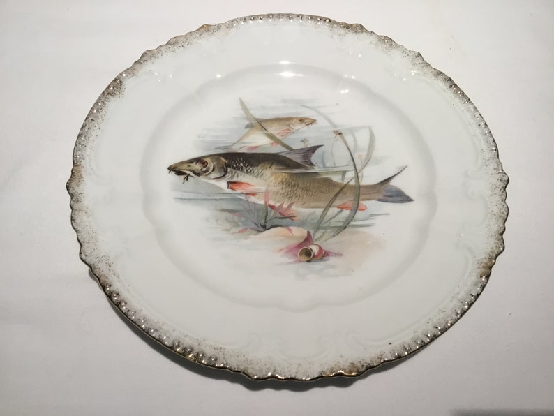 Antique Porcelain Hand Painted Fish Service Plates Set of 12 - Etsy