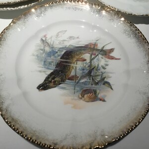 Antique Porcelain Hand Painted Fish Service Plates Set of 12 - Etsy