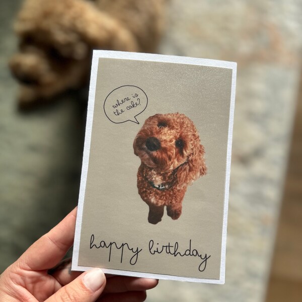 Pet Cards - Etsy