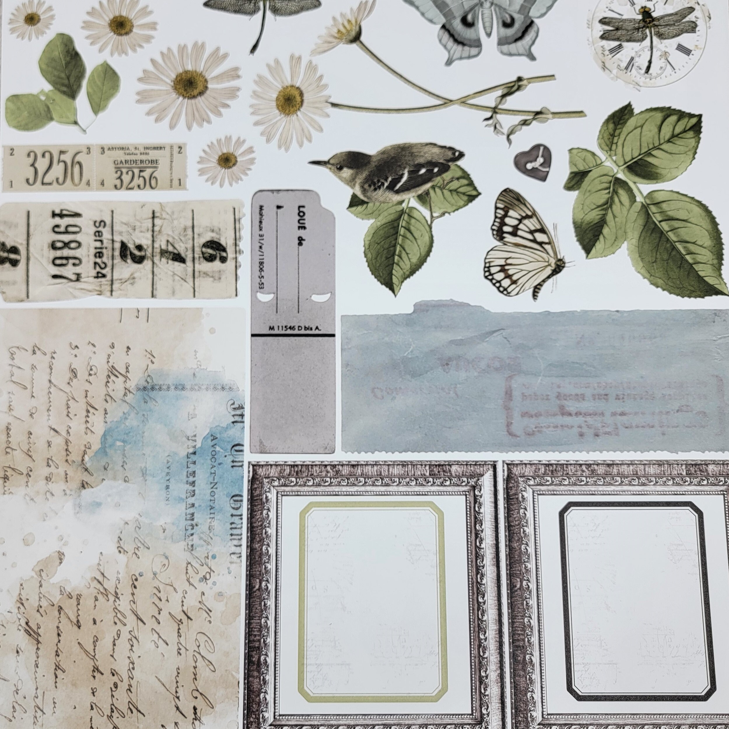 Blue Vintage 12x12 Scrapbook Paper Pack, Moonlit Garden Paper - Etsy