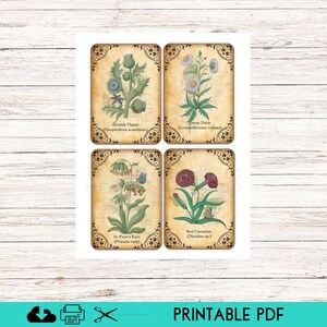 Printable Flower Identification Cards, Vintage Botanical Illustrations ...