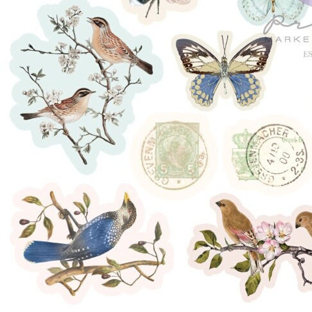 Nature Lover Die Cut Ephemera Pack With 27 Pieces, Cardstock Ephemera ...