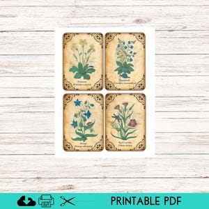 Printable Flower Identification Cards, Vintage Botanical Illustrations ...
