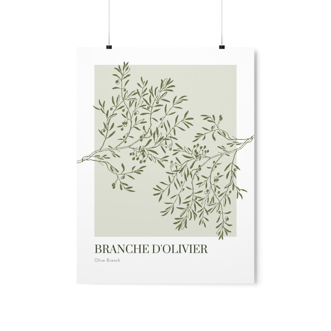 Modern Olive Branch Poster Botanical Plant Art Branche D'olivier French ...