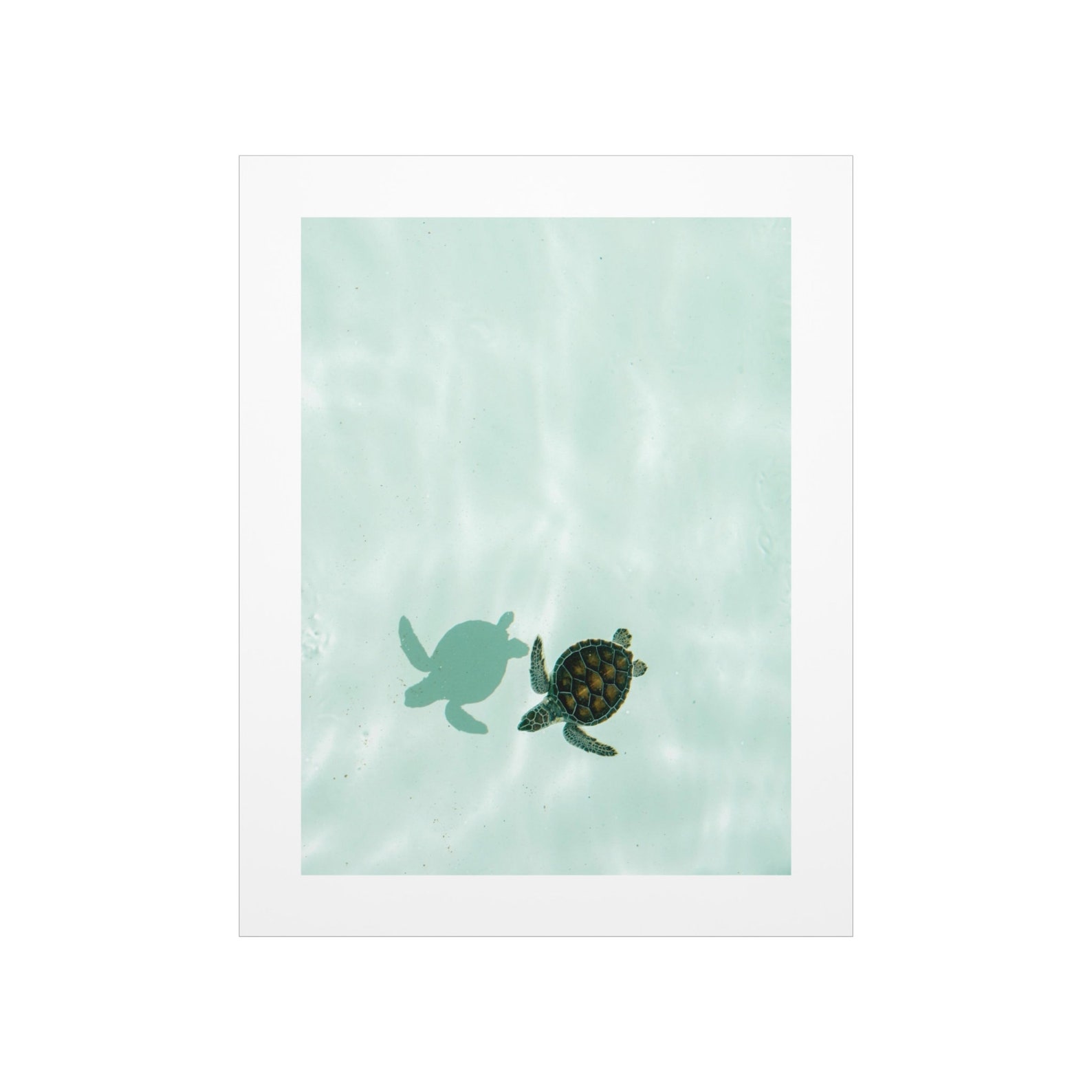 Sea Turtle Poster. Animal Wall Art. Modern Minimalist. Water Turtle. - Etsy