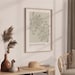 Modern Olive Branch Digital Download | Botanical Art | Branche D ...