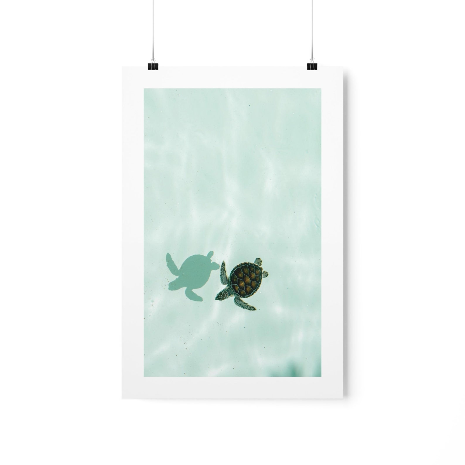 Sea Turtle Poster. Animal Wall Art. Modern Minimalist. Water Turtle. - Etsy