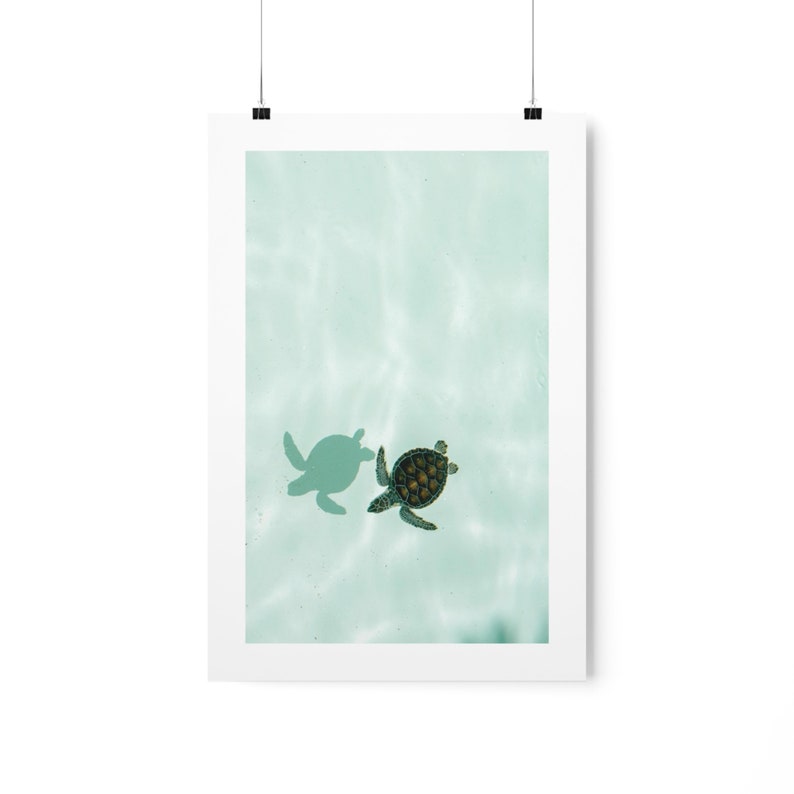 Sea Turtle Poster. Animal Wall Art. Modern Minimalist. Water Turtle. - Etsy