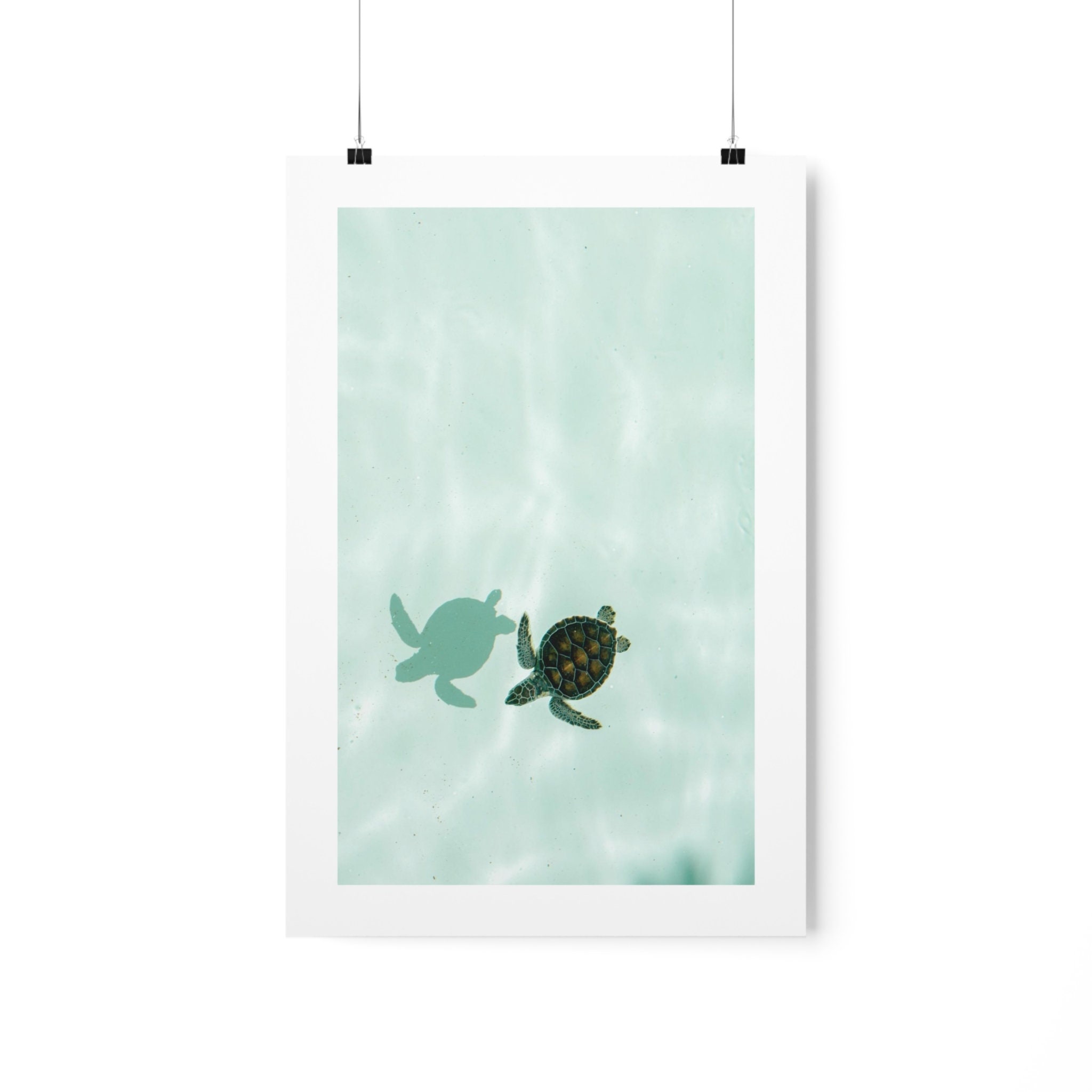 Sea Turtle Poster. Animal Wall Art. Modern Minimalist. Water Turtle. - Etsy