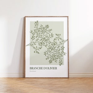 Modern Olive Branch Poster Botanical Plant Art Branche D'olivier French ...