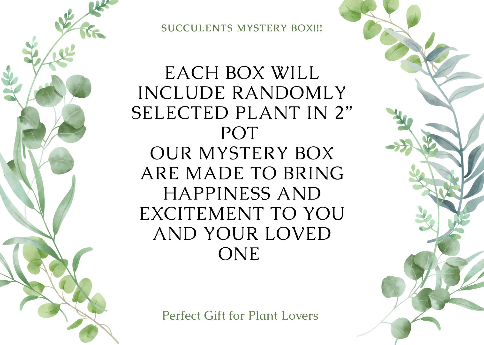 Home & Living Plants Ferns, Grasses & Bamboo Valentine Mystery Box 2 ...
