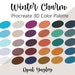 Winter Charm/ 30 Procreate Color Palette / Warm Snow Color Palette ...