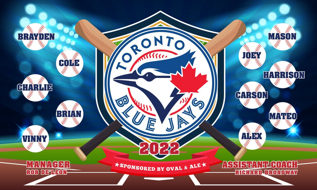 Blue Jays Baseball Team Banner: Custom Vinyl T-ball, Softball - Etsy