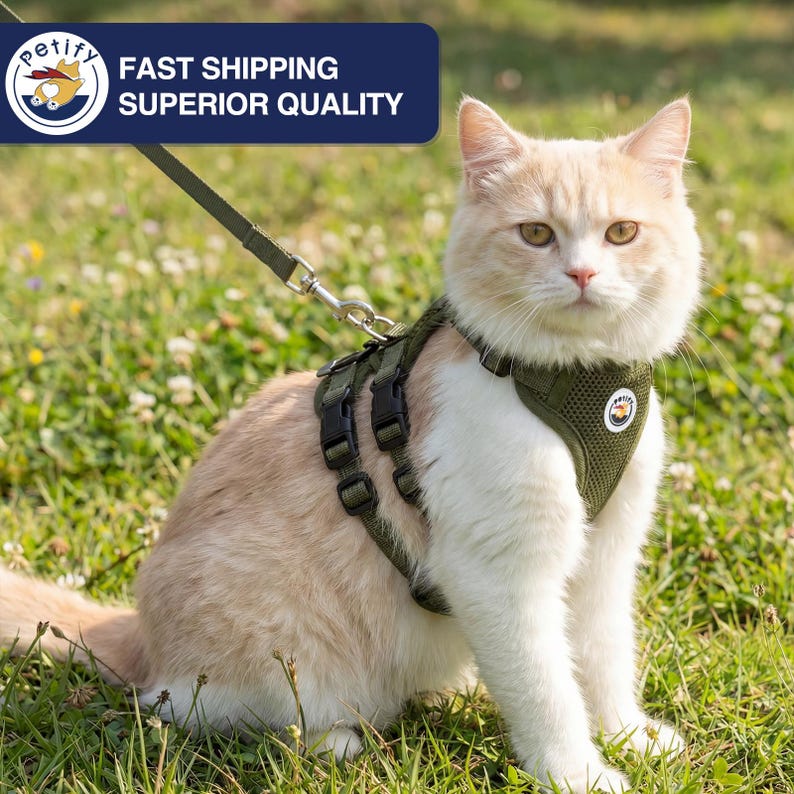 Escape Proof Cat Harness and Leash – Adjustable Kitten Vest, Soft Mesh ...
