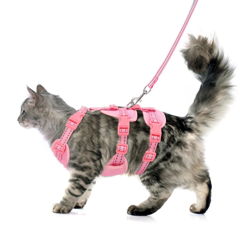 Custom Harness for Cats - Etsy