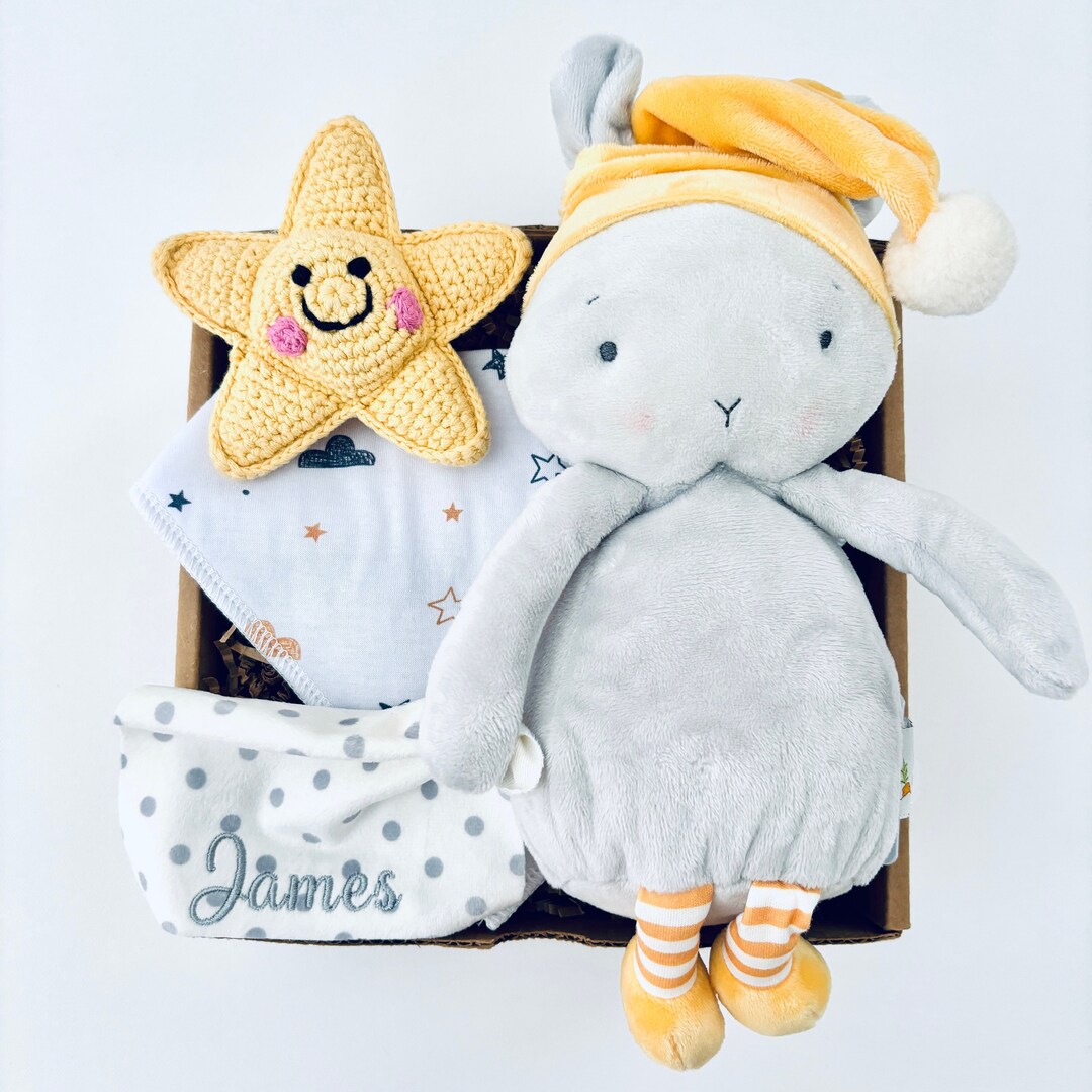 Gender Neutral Baby Gift, Baby Shower Gift, Goody Bocs, Corporate ...