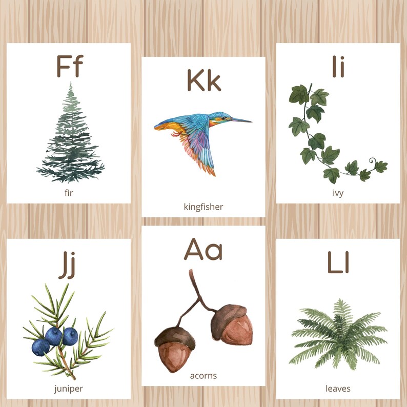 Nature Alphabet Flashcards | Montessori-inspired ABC Cards for Kids ...