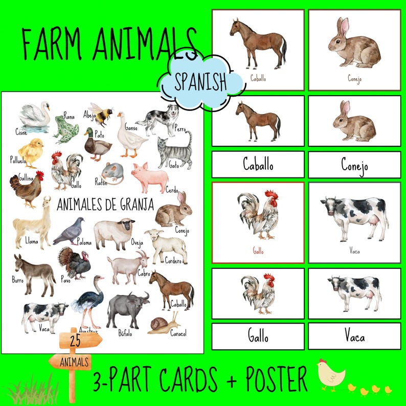 Animals Flashcards, Learn Farm Animals in Spanish-3-part Cards and ...