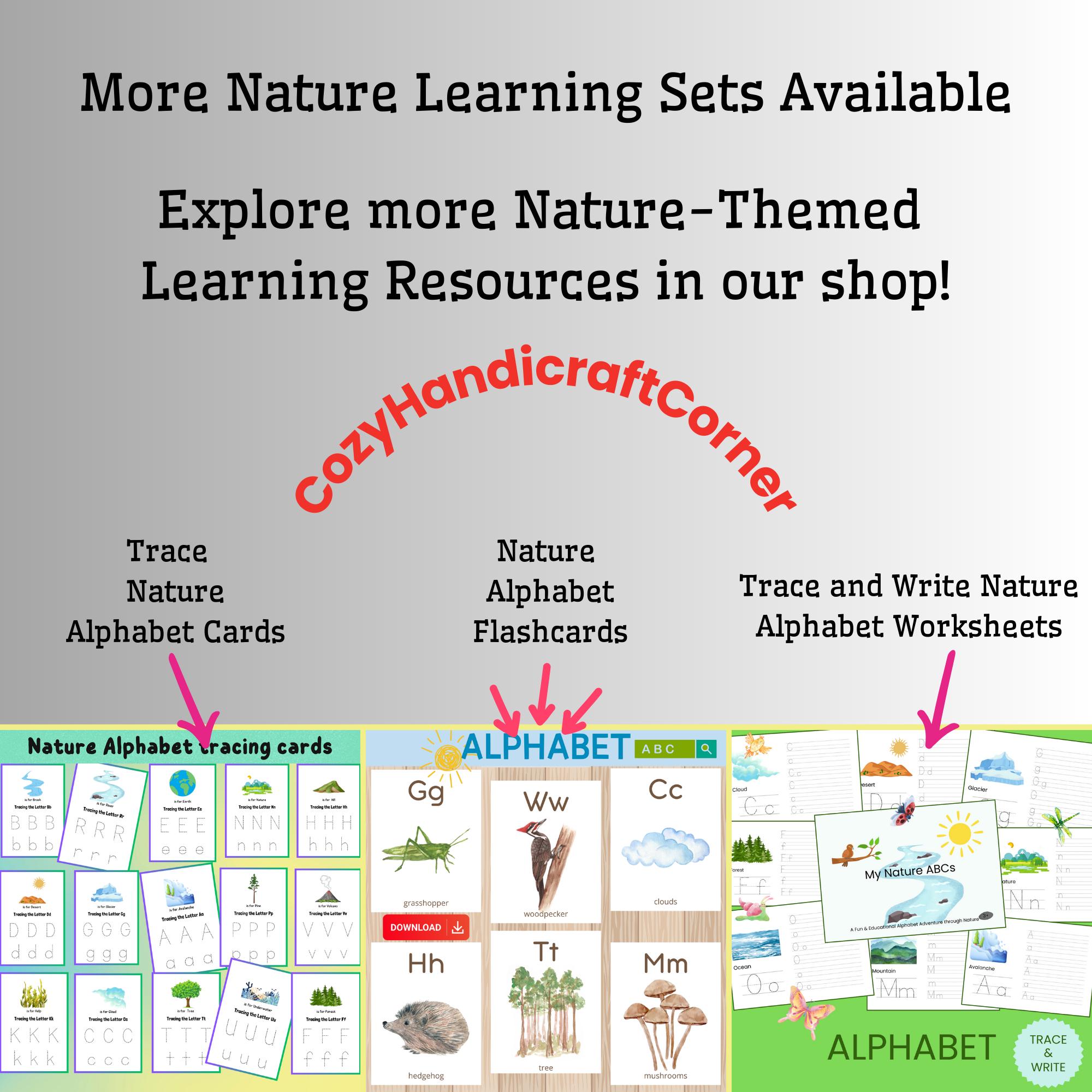 Printable Outdoor Learning Flashcards: Nature Study Cards for Kids - Etsy