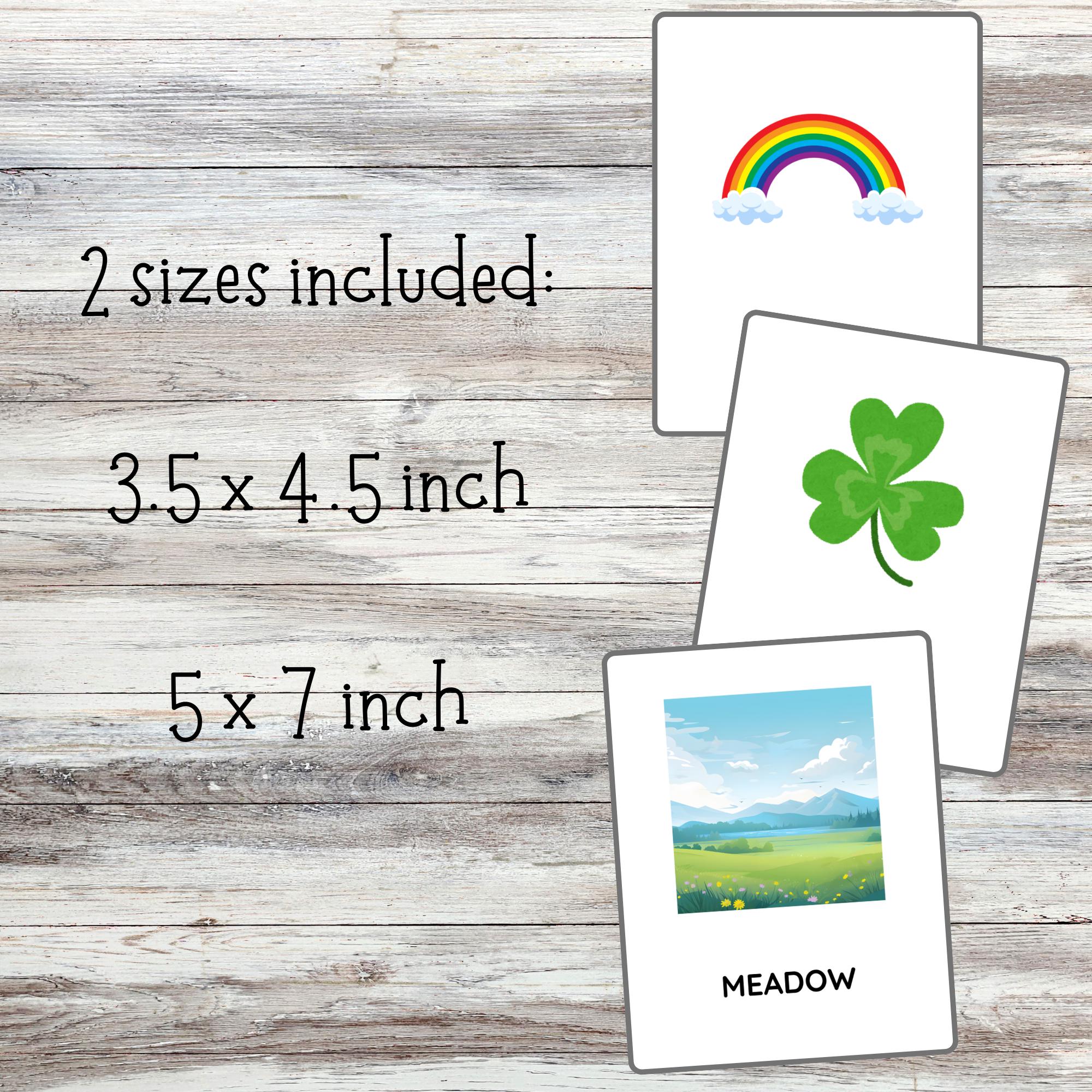 Printable Outdoor Learning Flashcards: Nature Study Cards for Kids - Etsy