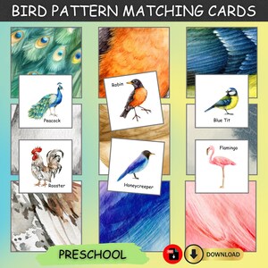 Bird Matching Card Set for Children PDF - Etsy