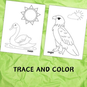 Tracing Worksheets | Birds Printable for Preschool & Toddler Activities ...