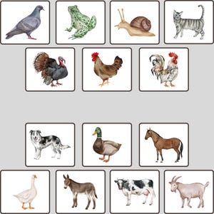 Farm Animal Memory Card Game | Preschool Activities | Toddler Learning ...