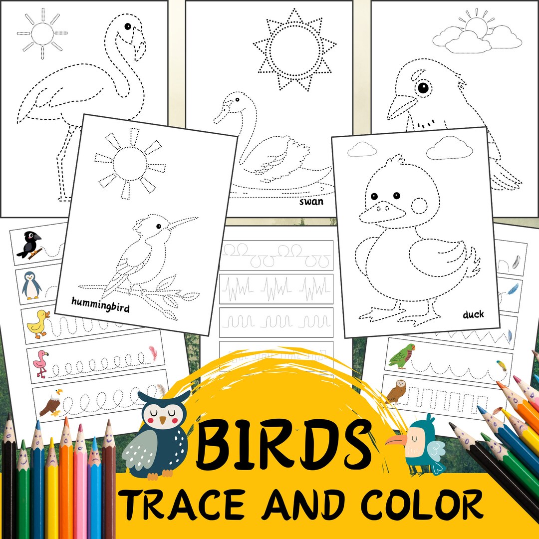 Tracing Worksheets | Birds Printable for Preschool & Toddler Activities ...