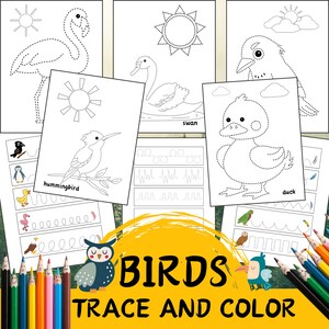 Tracing Worksheets | Birds Printable for Preschool & Toddler Activities ...