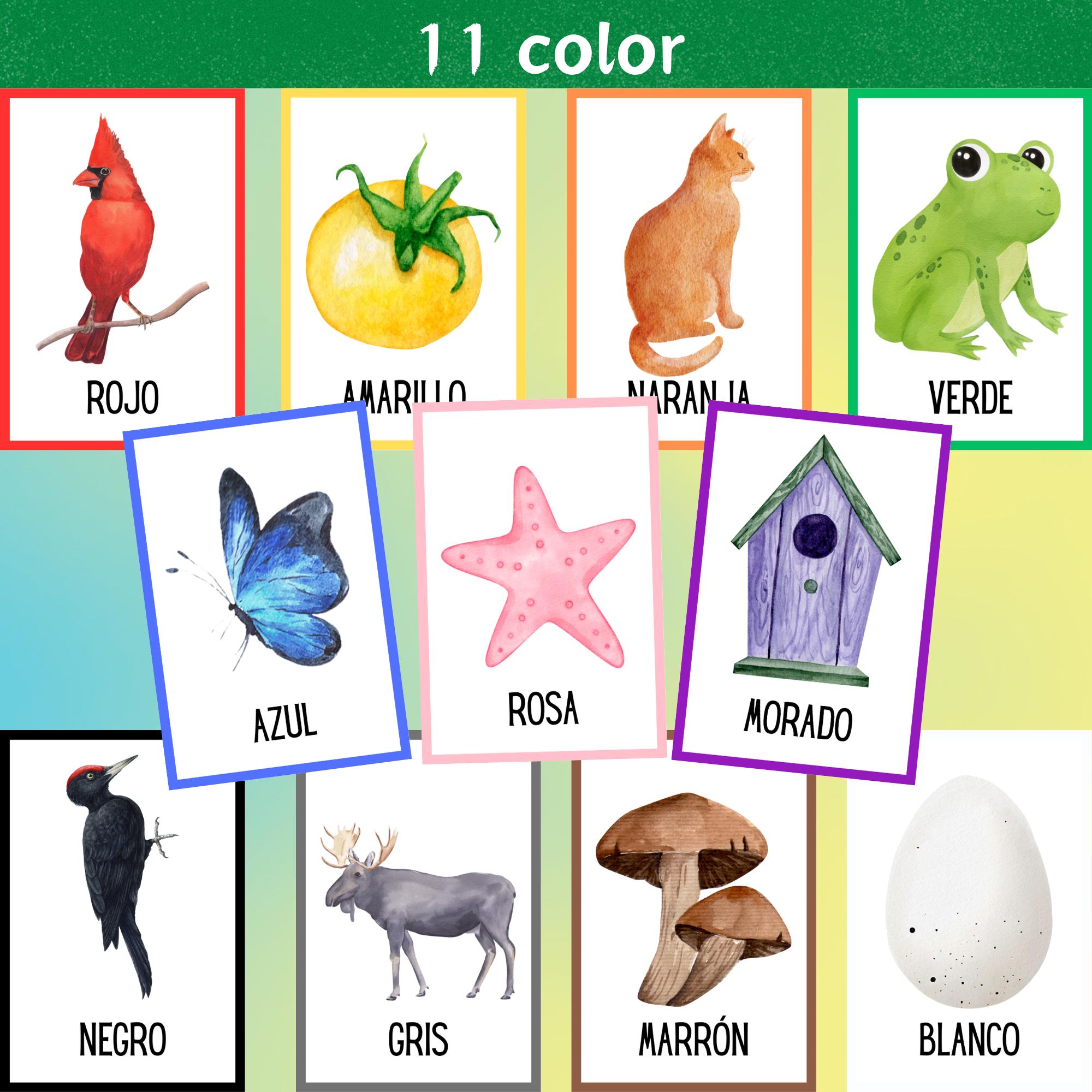 Spanish Colors Flashcards - Color Recognition & Fun Learning Activities ...