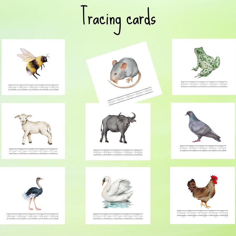 Montessori Animals Flashcards Bundle - Spanish Farm Animal 3-part Cards ...