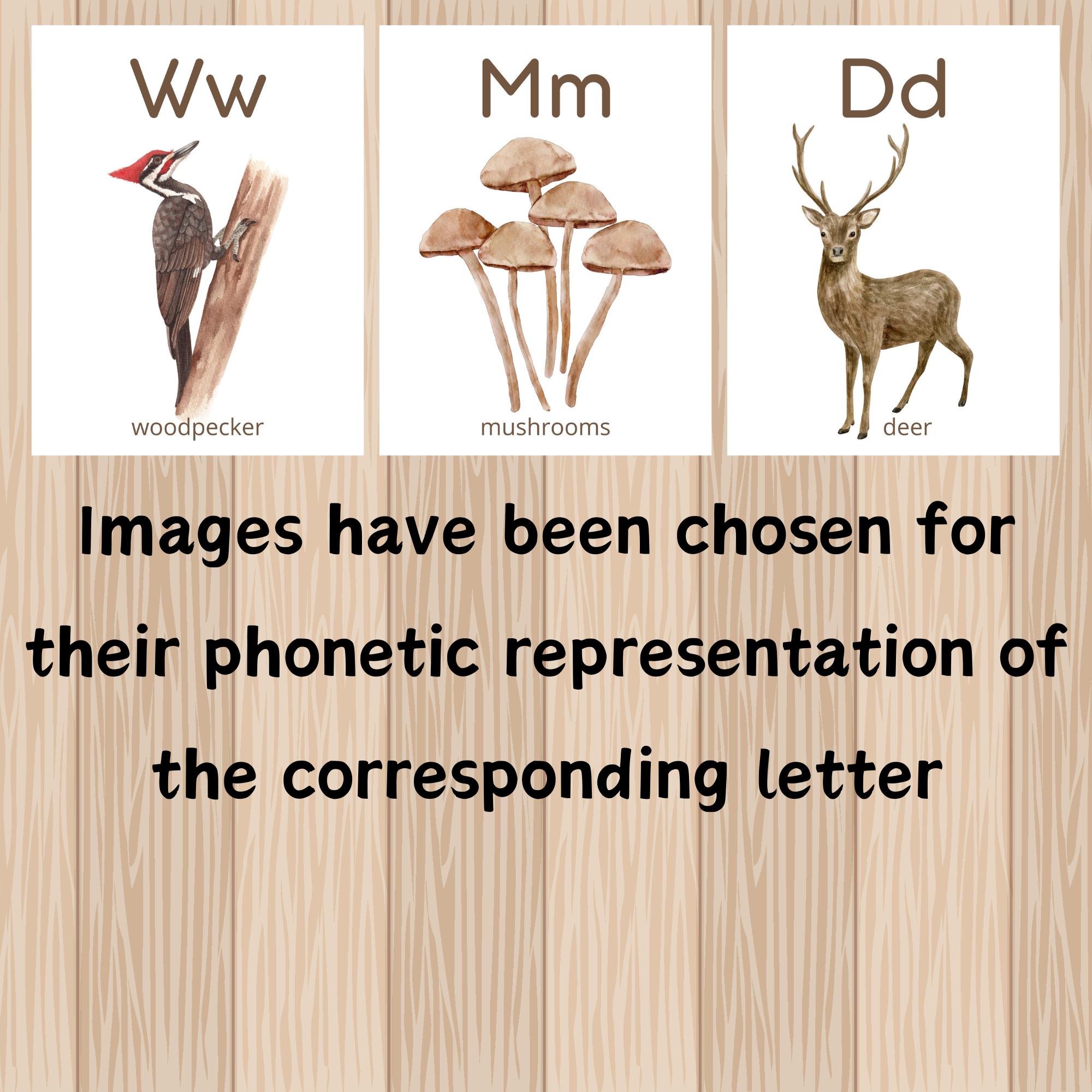 Nature Alphabet Cards | Preschool Printable ABC Flashcards - Etsy