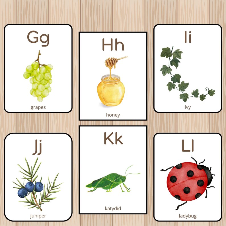 Nature ABC Cards | Printable Alphabet Flashcards for Kids - Etsy