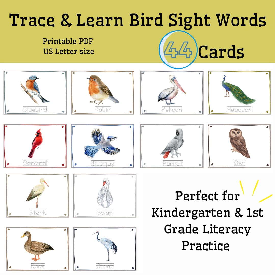 Bird Sight Word Tracing Cards | Early Reading & Writing Practice for ...
