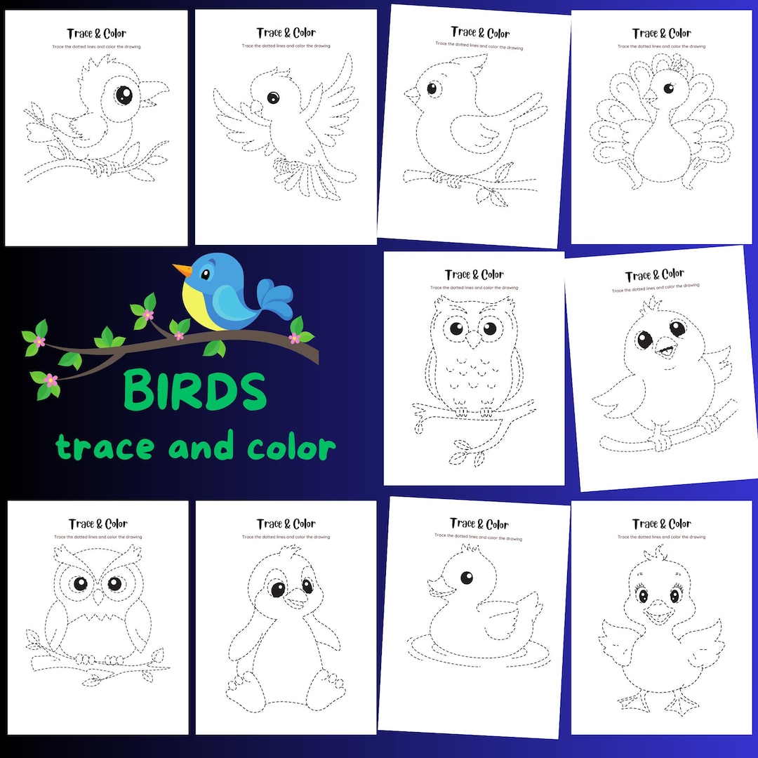 Kindergarten Birds Trace and Color Pages | Preschool Fine Motor ...
