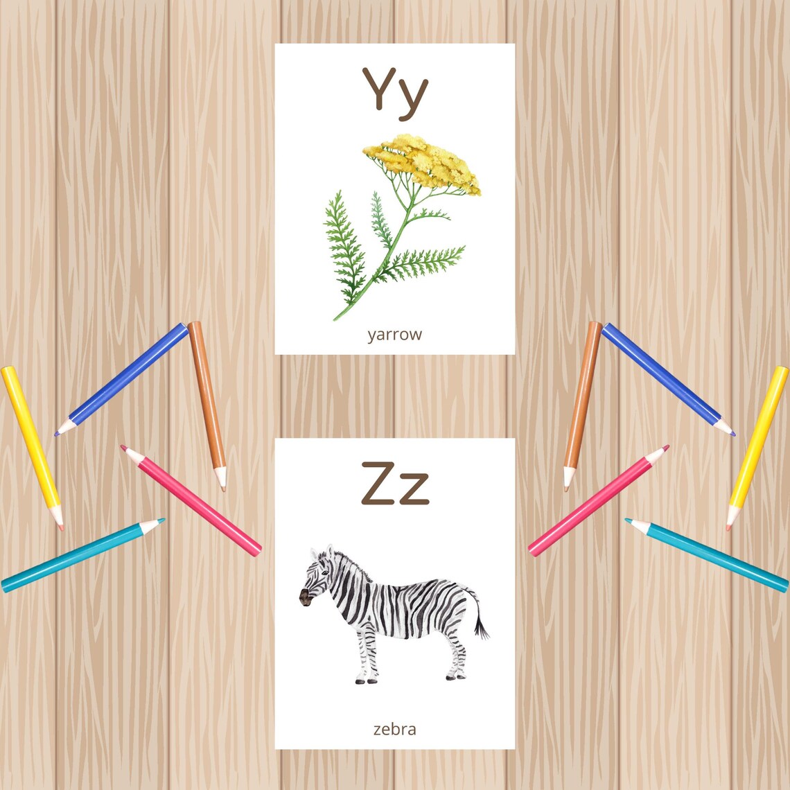 Nature Alphabet Flashcards | Montessori-inspired ABC Cards for Kids ...