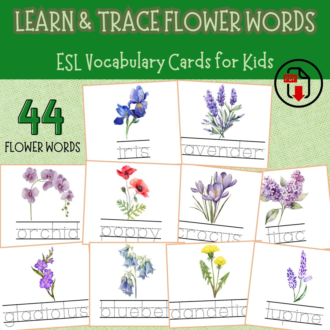 ESL Vocabulary Tracing Cards | Learn English Flower Words | Alphabet ...
