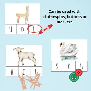 Initial Sound Clip Cards, Farm Animal Flashcards and Poster, Preschool ...