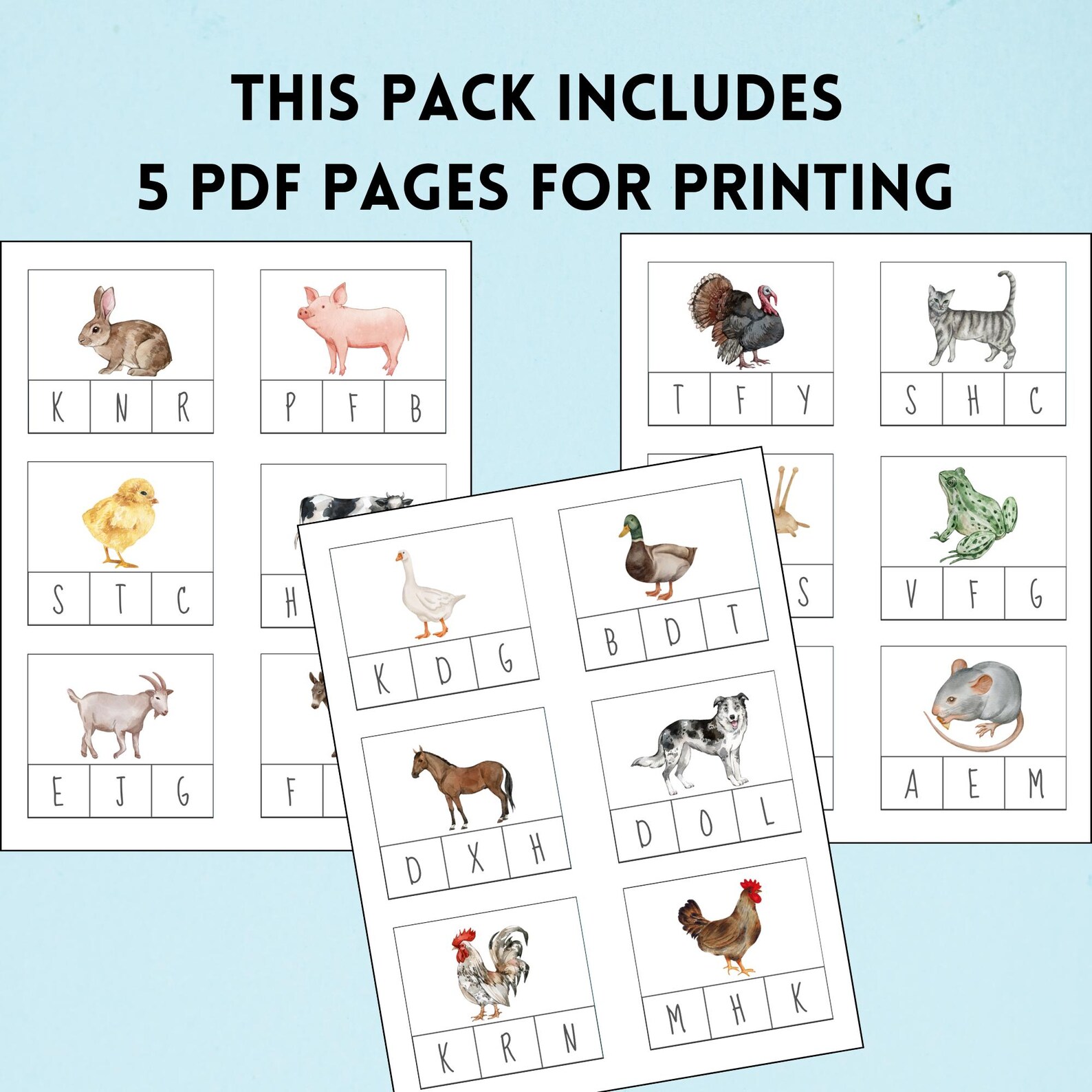 Initial Sound Clip Cards, Farm Animal Flashcards and Poster, Preschool ...